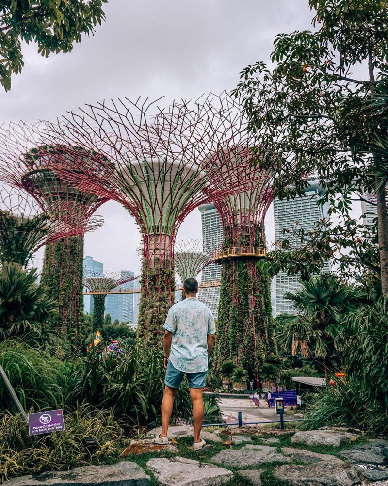 Gardens by the Bay, Supertree Grove + Cloud Forest Dome - Travel In Our ...